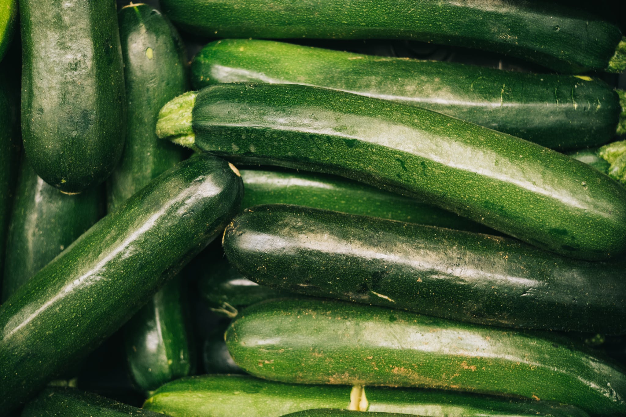 Courgette The Powerful Dietary Therapeutic: Why?