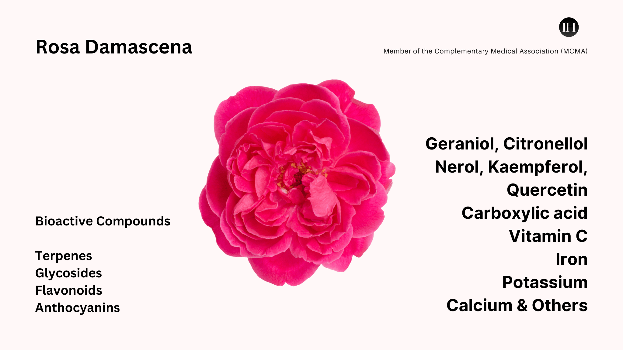 Benefits of Rose Water A Hypnotic: Sleep, Brain, Heart