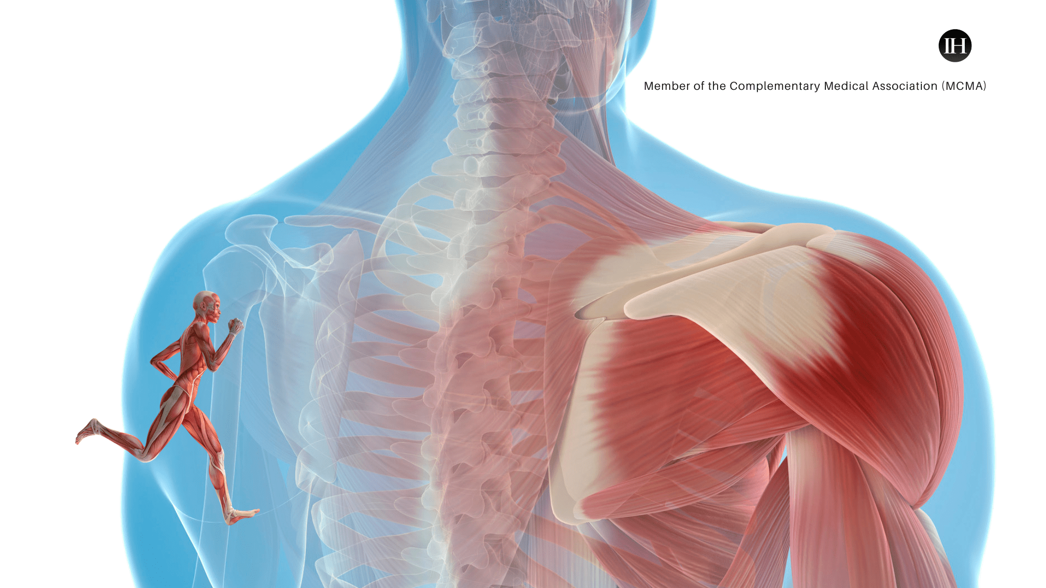 Muscle Recovery Better With Lemon Verbena: Why?